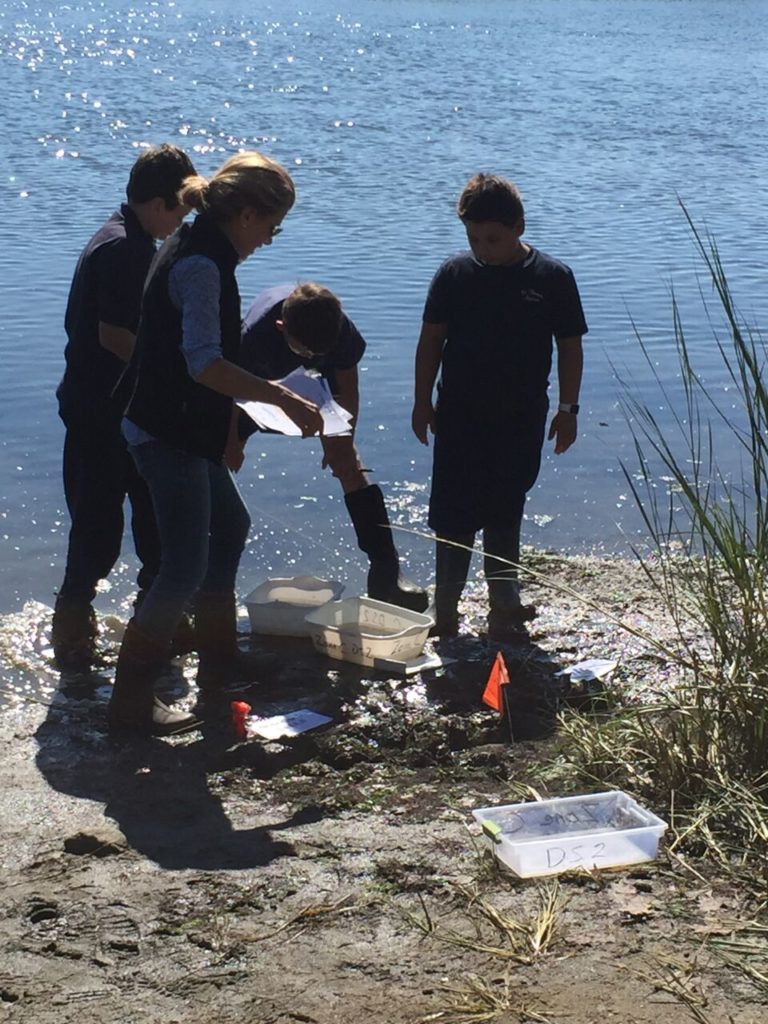 Health-e Giving: Making a Difference on the Mill River Wetland ...